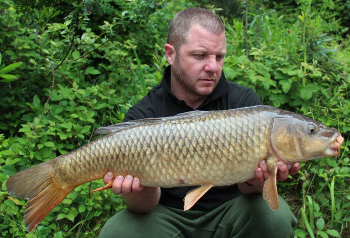 Off The Top with Tony Welch - Gardner Tackle