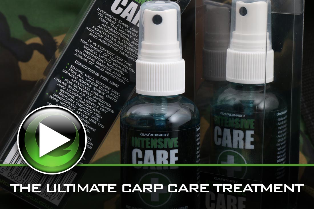 The Ultimate Carp Care Treatment - Video - Gardner Tackle