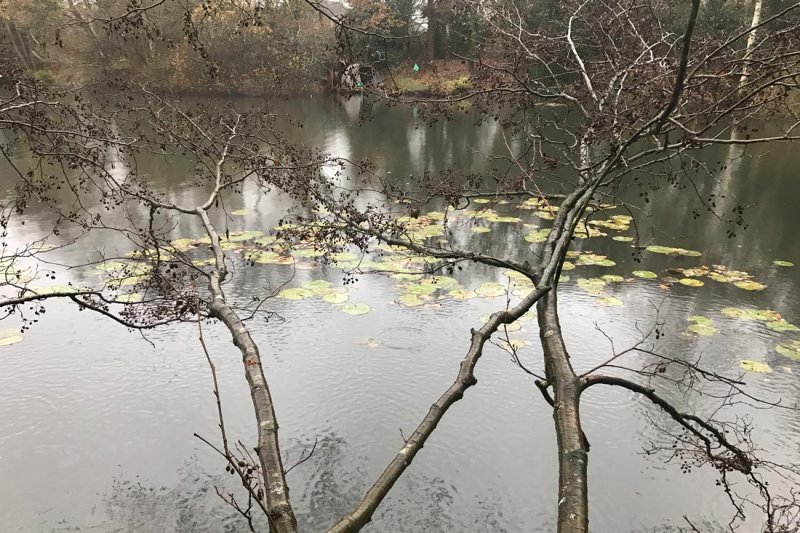 Carp Fishing ~ Nigel Sharp's Winter Blog - Gardner Tackle