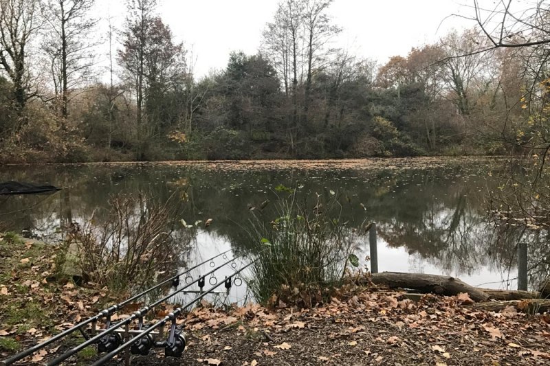 Carp Fishing ~ Nigel Sharp's Winter Blog - Gardner Tackle