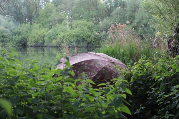 Carp Fishing ~ Baby Black ~ Nigel Sharp - Gardner Tackle