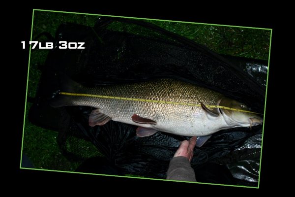 Coarse Fishing - My Barbel Edges - Rob Young - Gardner Tackle