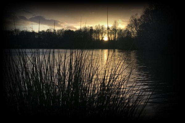 Carp Fishing - Big Carp Mind Set Part 3 - Nigel Sharp - Gardner Tackle