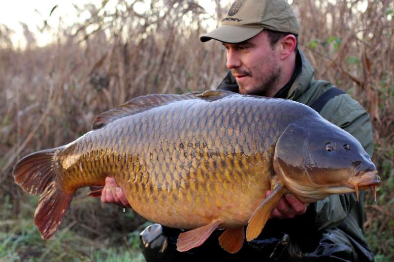 Simon Hartop - Gardner Tackle