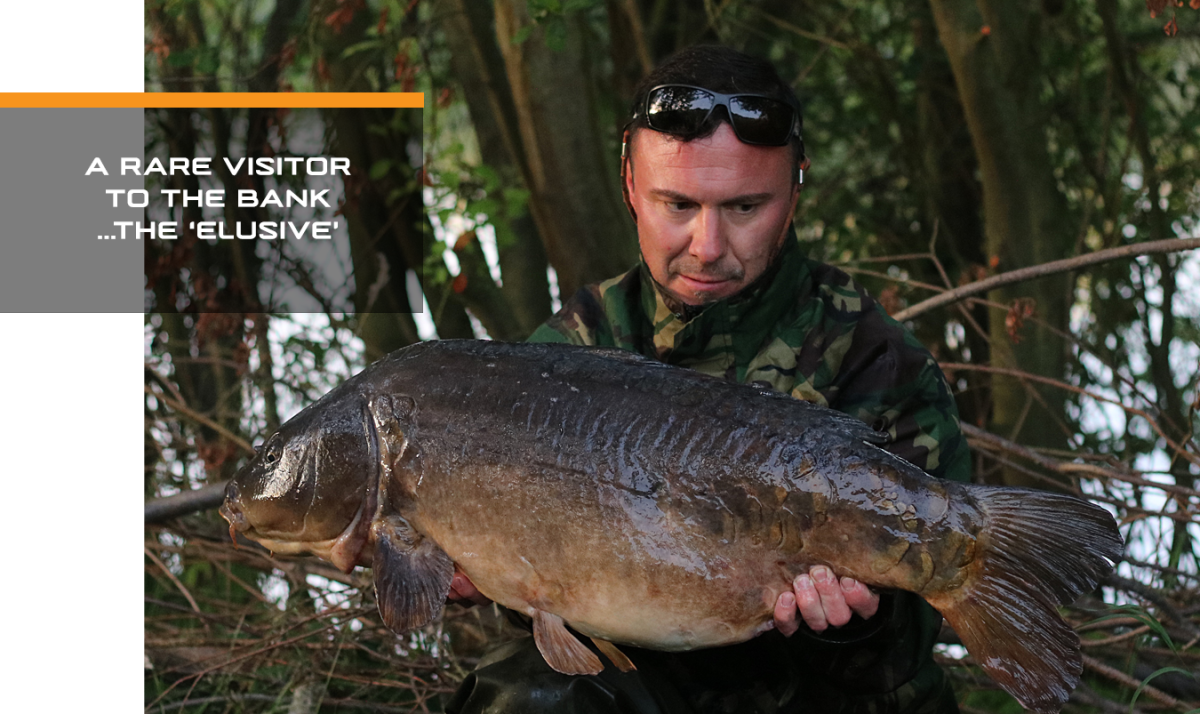 Carp Fishing - Golden Gates - Wes Coggeshall - Gardner Tackle